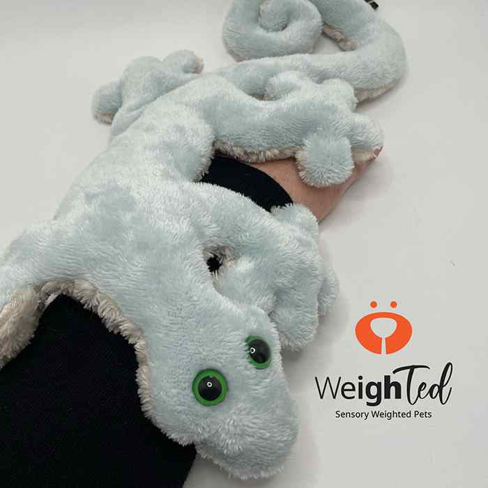 Weigh-Ted Sensory Weighted Pets