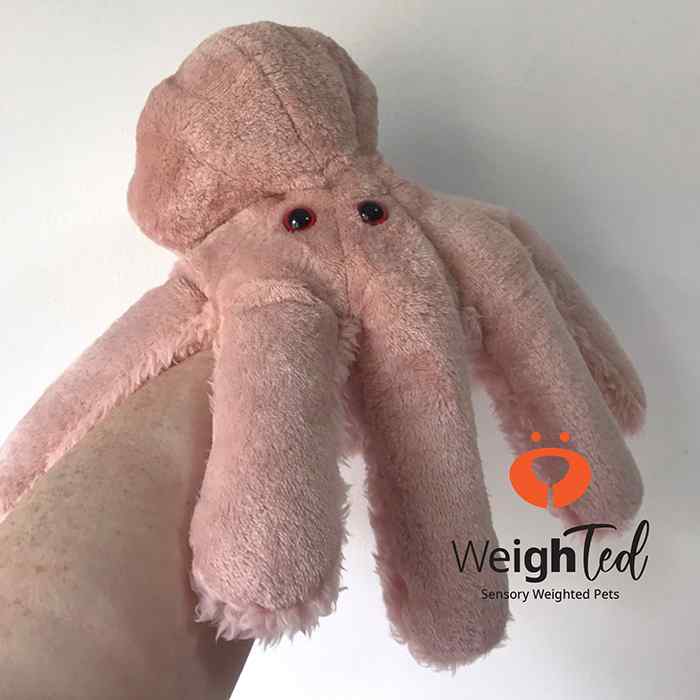 Weigh-Ted Sensory Weighted Pets