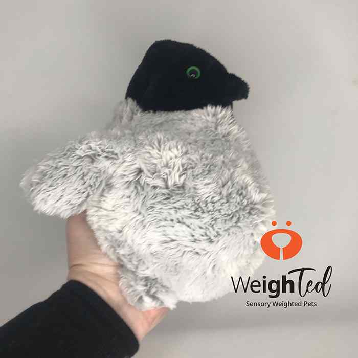 Weigh-Ted Sensory Weighted Pets